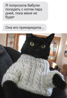 Конкурс "Придумай подпись для картинки" » Страница 103 » KpNemo